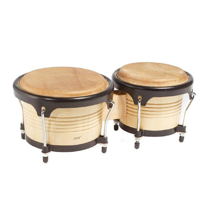 Gandharva Loka | The World Music Store